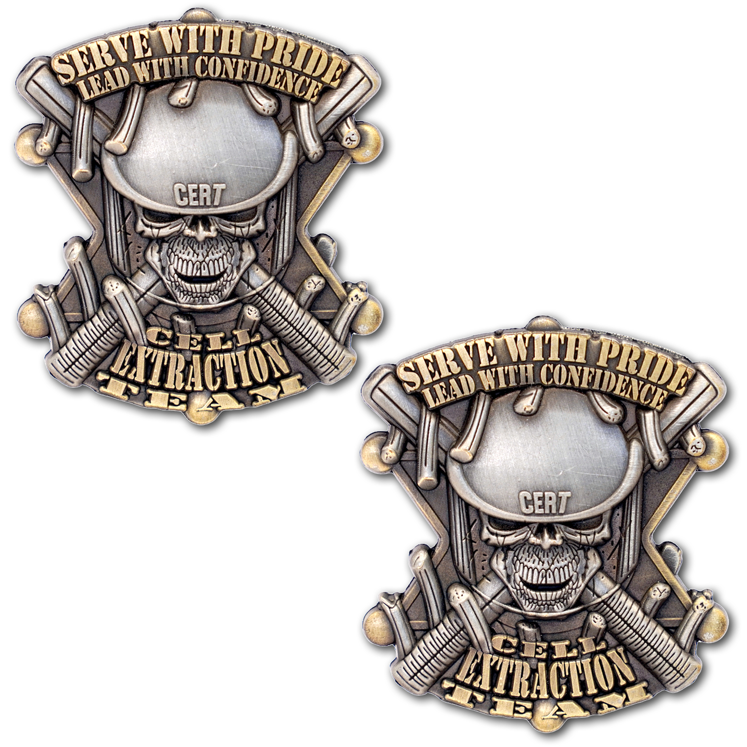Correctional Officer CERT Team Police Challenge Coin 